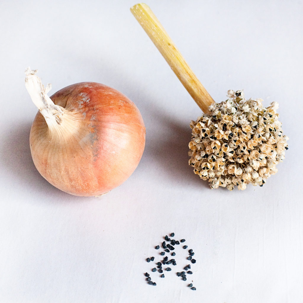 Vegetable Seed Archives - Triple Divide Organic Seeds
